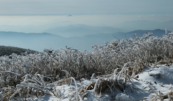 구례 지리산 노고단 설경