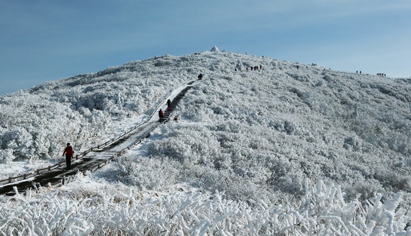 구례 지리산 노고단 설경