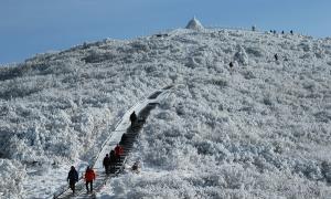 구례 지리산 노고단 설경